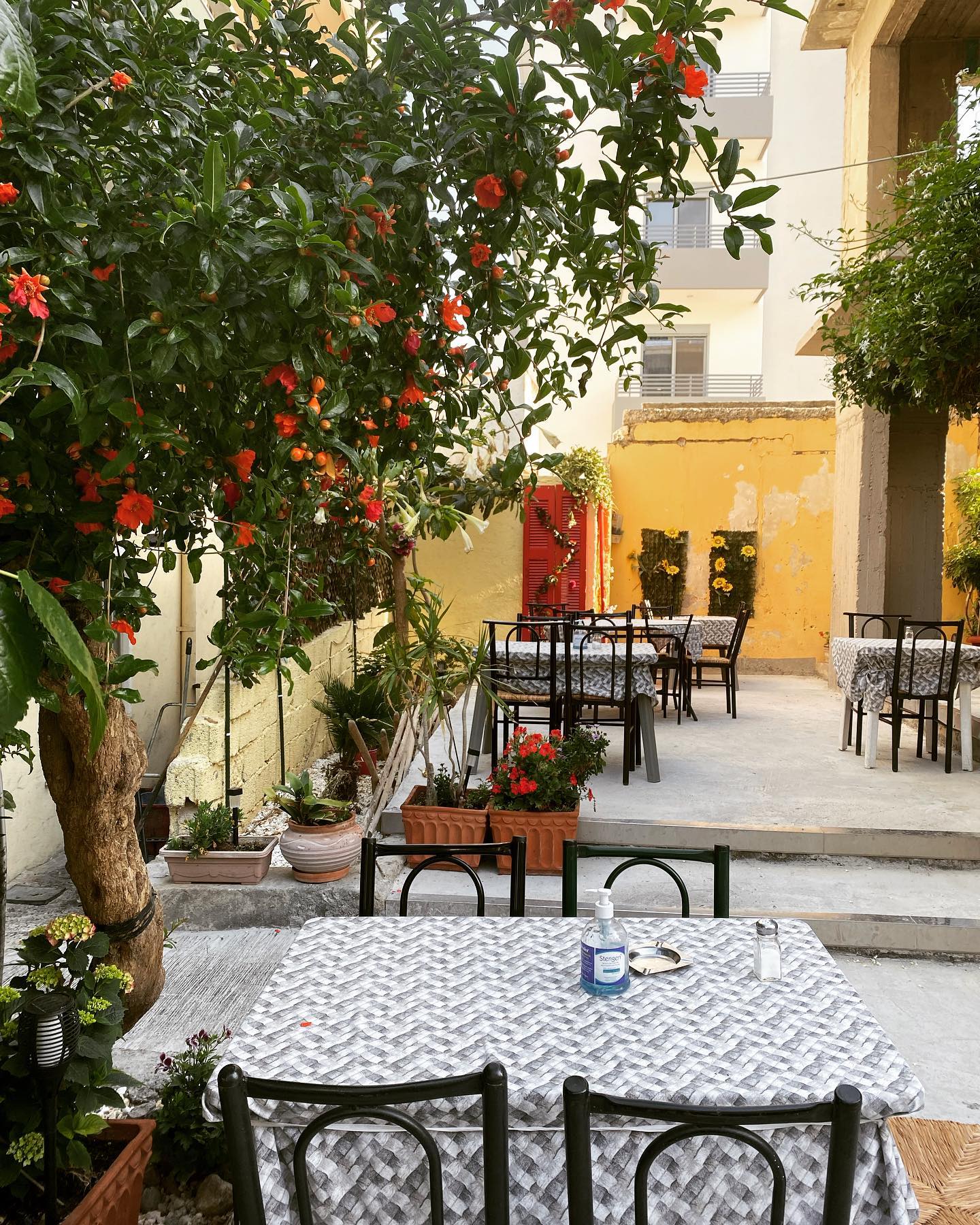 Στον "Μπαρμπα Μήτσο" στον Ασύρματο χρειάζεσαι όρεξη και... αντοχές ...